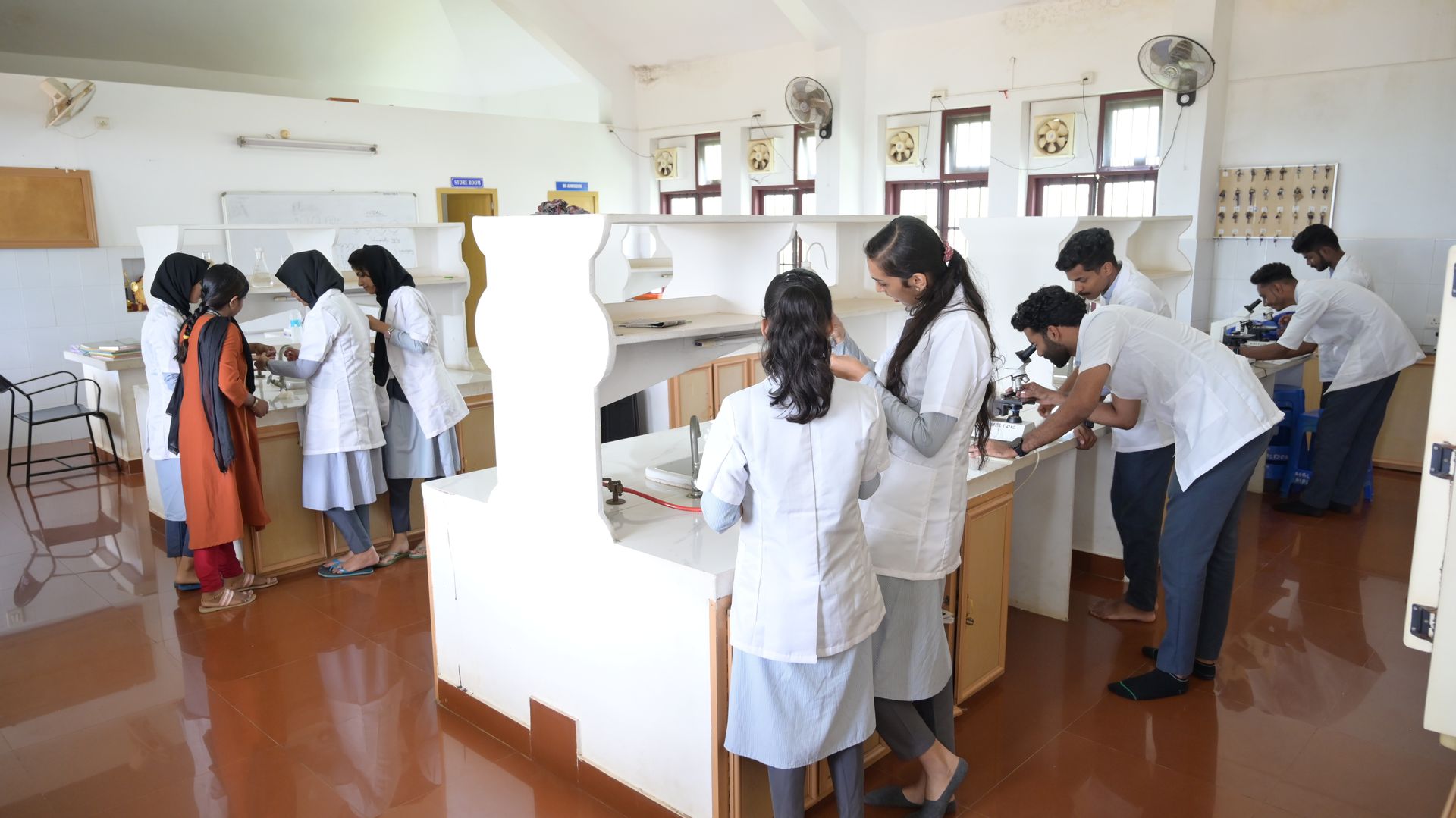 bsc-microbiology | GemsCollege