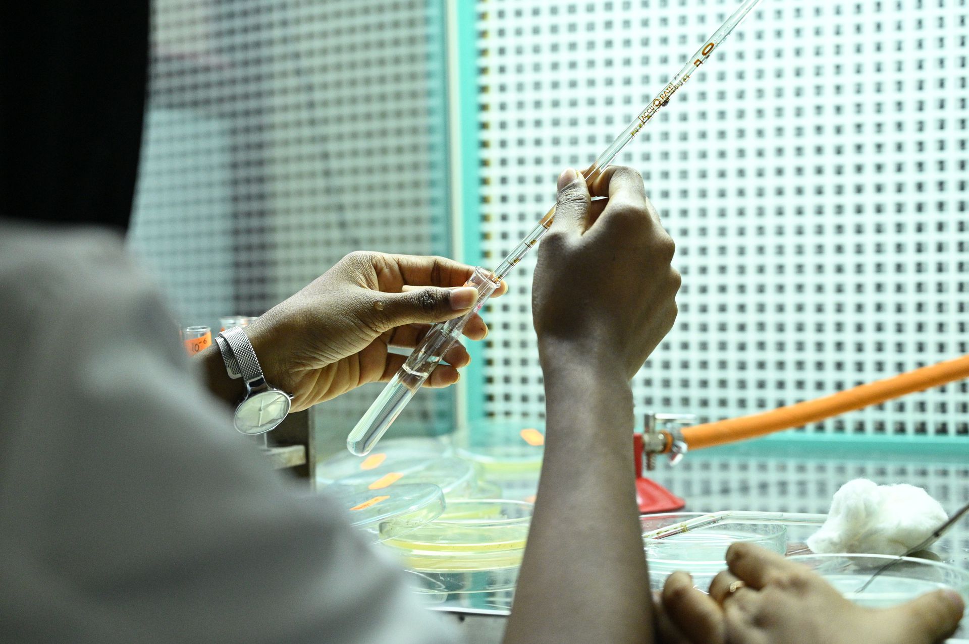 Biotechnology | GemsCollege