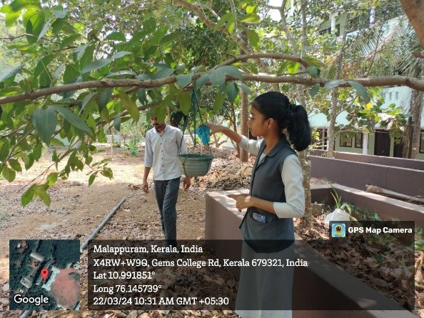 Gallery | GemsCollege